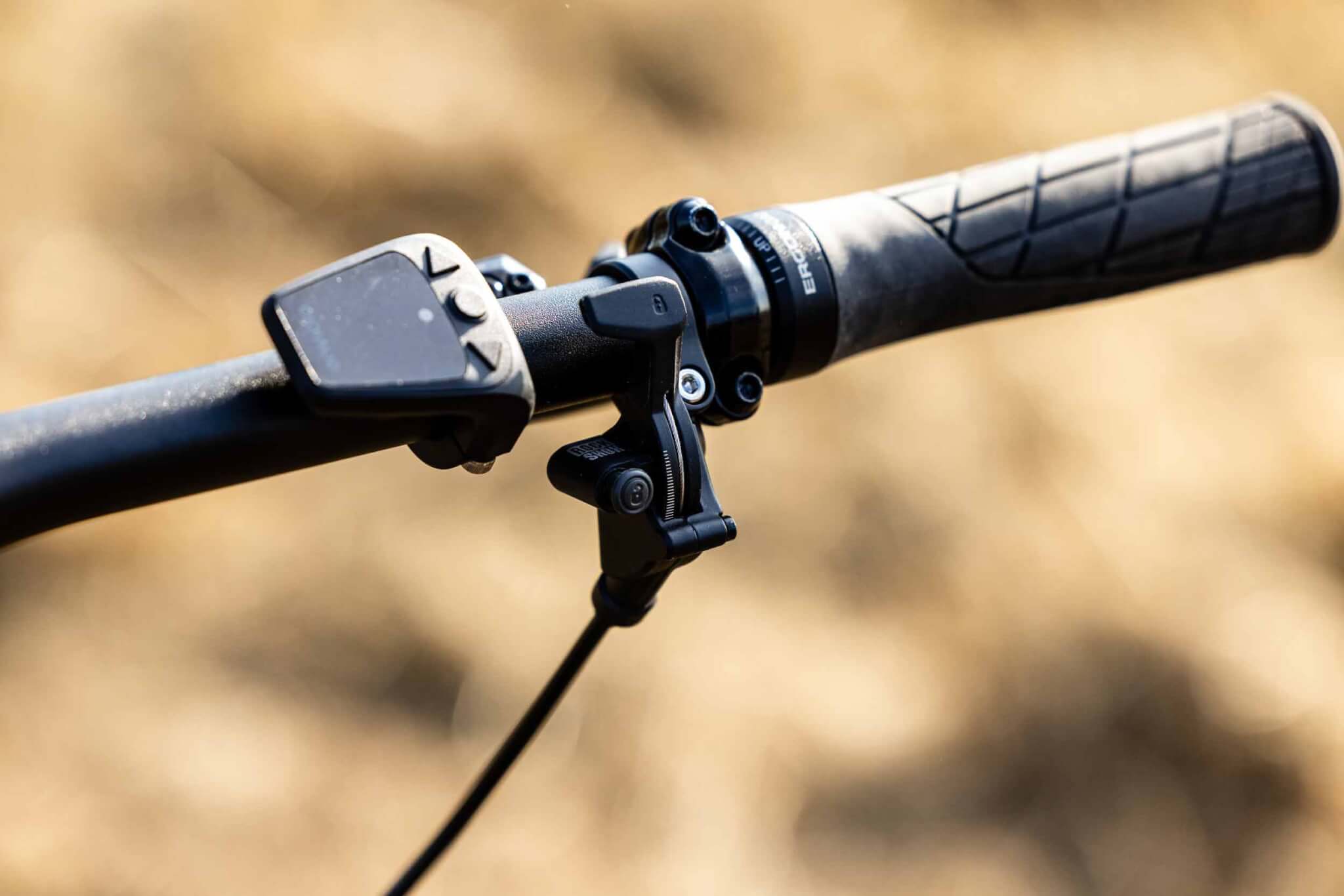 Außergewöhnliches Maxi-Lastenrad: Das GLEAM Escape im Cargobike Test ...