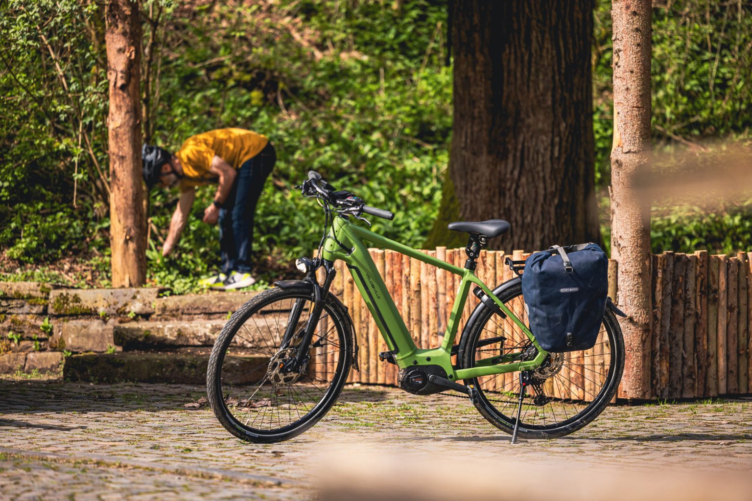 Velo de Ville AEB 990 Test – das nachhaltige Allround E-Bike für den ...